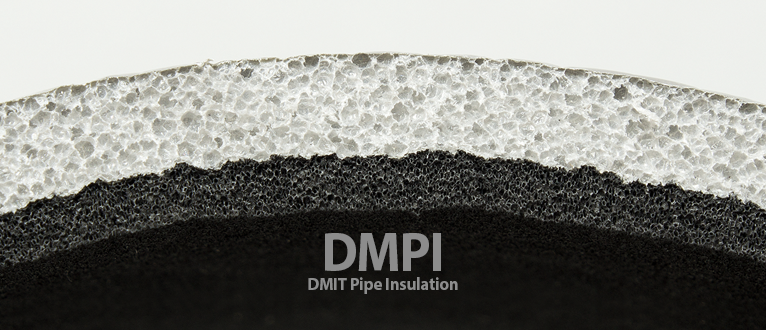 POLYPREG-DMIT | DMPI